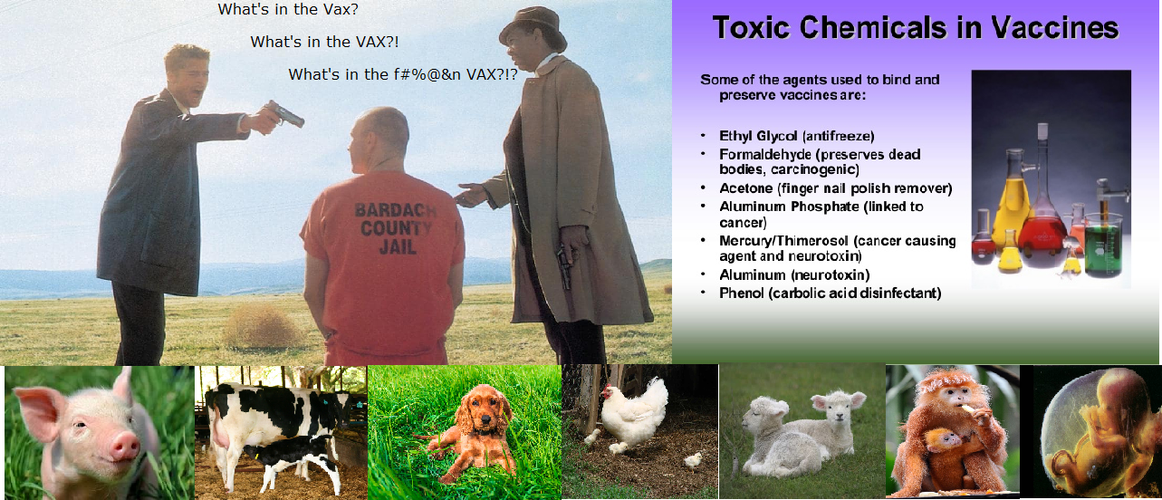 What’s in the Vax? – Vaccine Memes